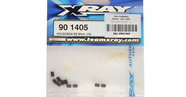 HEX SCREW SB M4x5 (10)