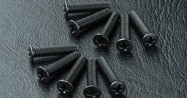 Flat head screw M3X13 (10)